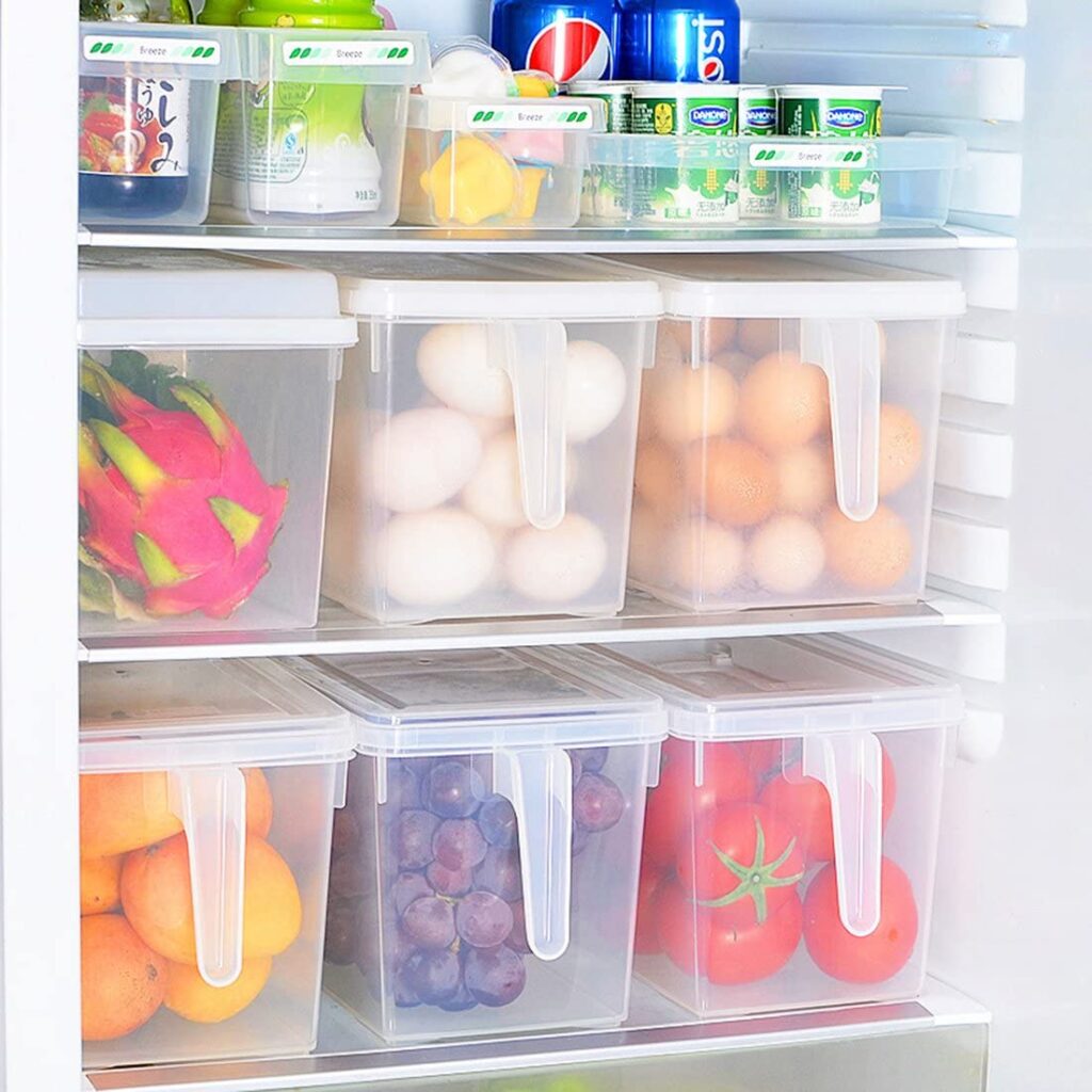 Kitchen Rack Shelf Storage Containers Refrigerator Freezer and Fridge ...