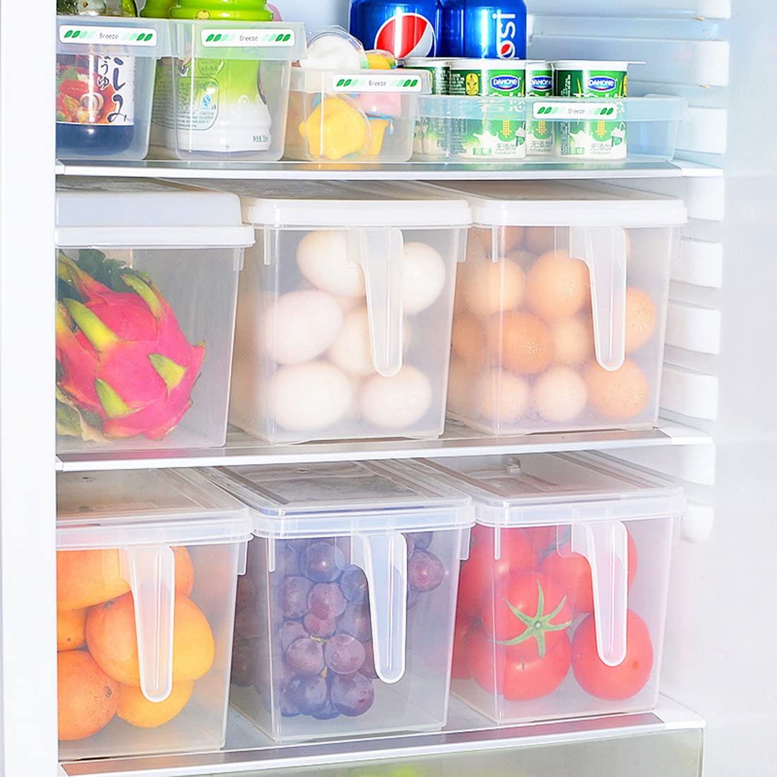 Kitchen Rack Shelf Storage Containers Refrigerator Freezer and Fridge ...
